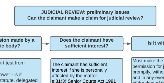 Public Law - Judicial Review Flowchart – Go With the Flowchart
